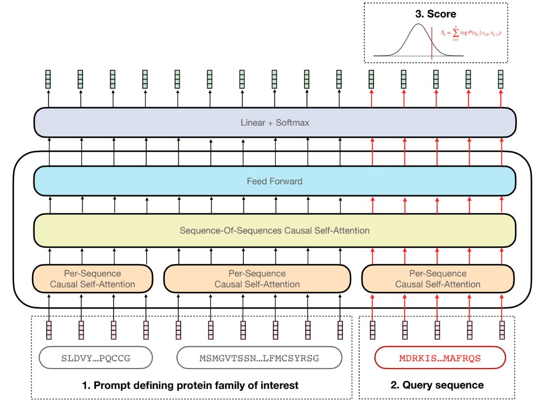 PoET: A high performing protein language model for Zero-Shot Prediction